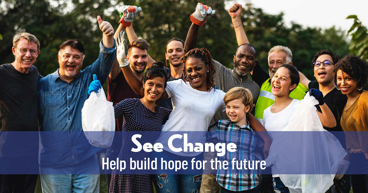 See Change | Activating the public to scale up the implementation of ...